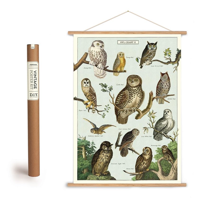 Owl Chart Art Poster + Hanging Kit