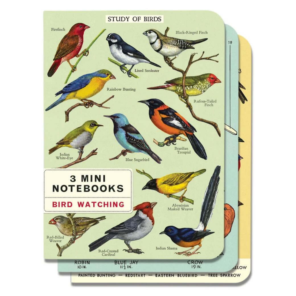 Birdwatching Mini Pocket Notebooks Set of 3