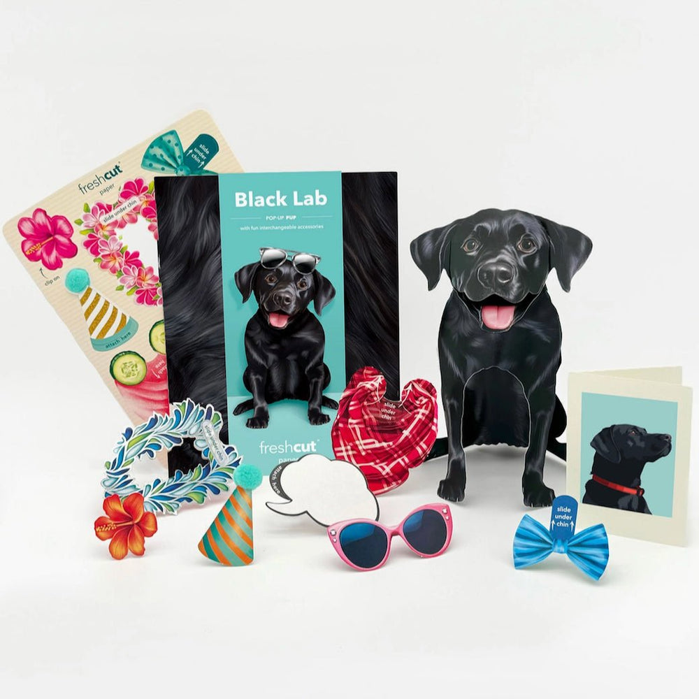 Black Lab Pop Up Greeting Card with Dress Up Kit