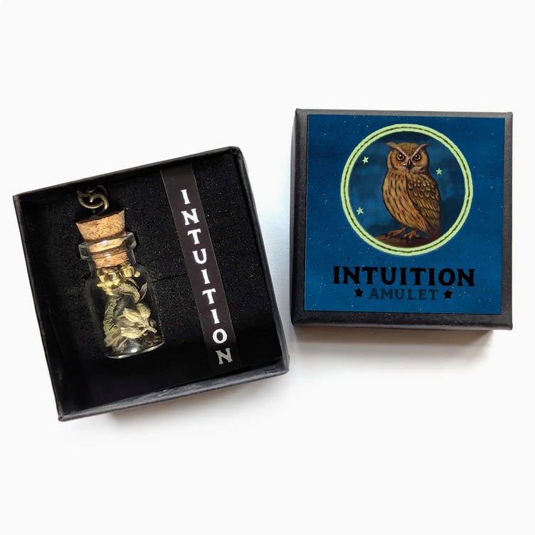 Intuition Amulet - Insight & Clarity Talisman Necklace w Owl