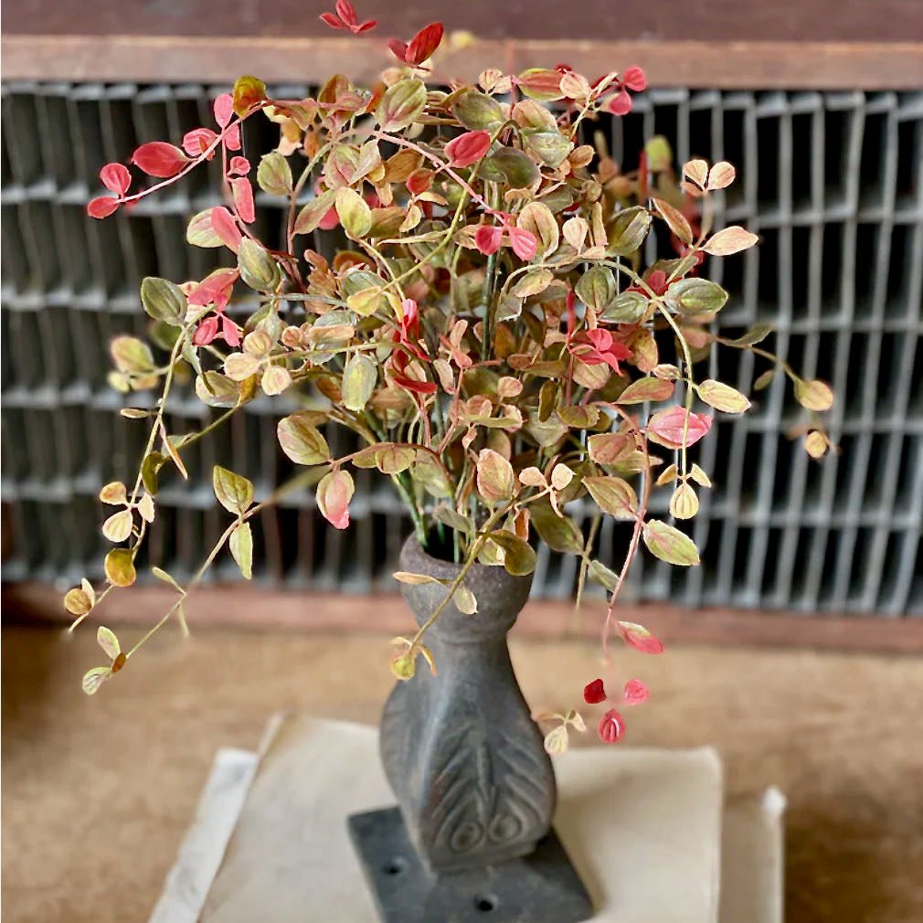 Set of Three Autumn Bog Pimpernel Sprays in RED